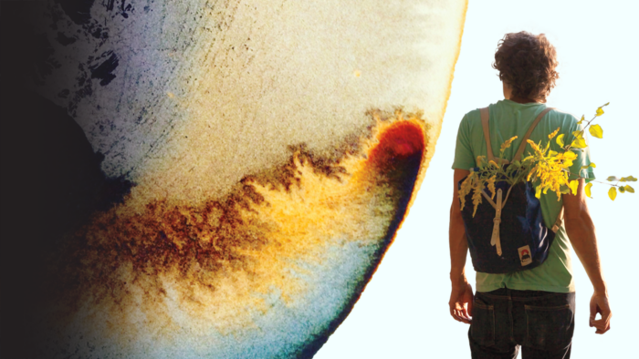 The Colour of Ink - Events